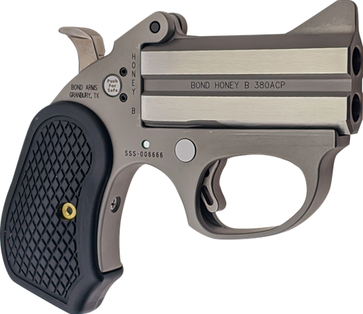 Bond Arms Honey-B Stainless .380 ACP 3" Barrel 2-Rounds - LIVENGOOD GUNS