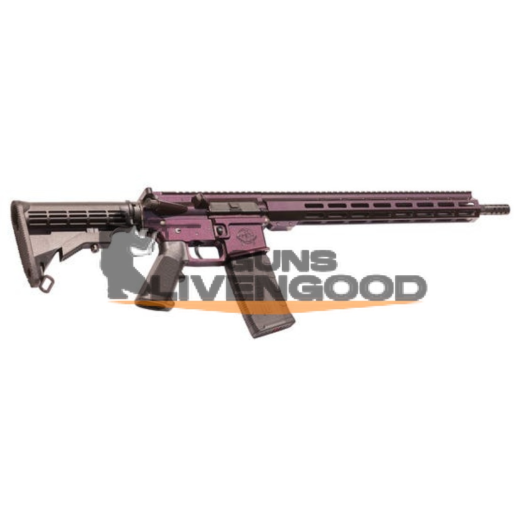 Great Lakes Firearms and Ammunition AR-15 "Galaxy Blaze" .223 Wylde 16 ...